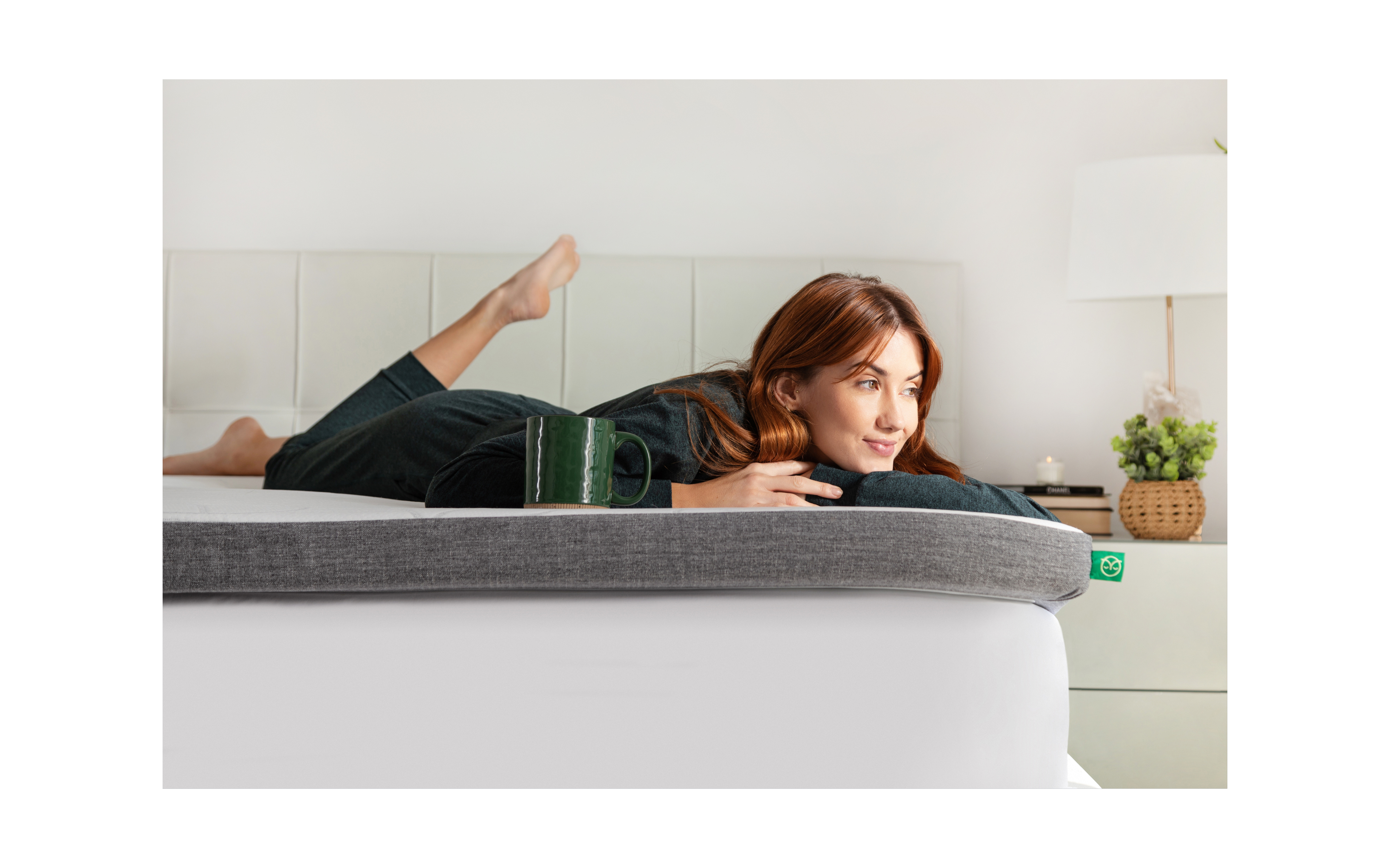 Understanding the 4 Chronotypes: Bear, Wolf, Lion, and Dolphin Sleeper ...